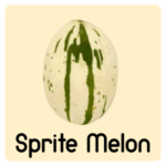 Different Types of Melons with Pictures
