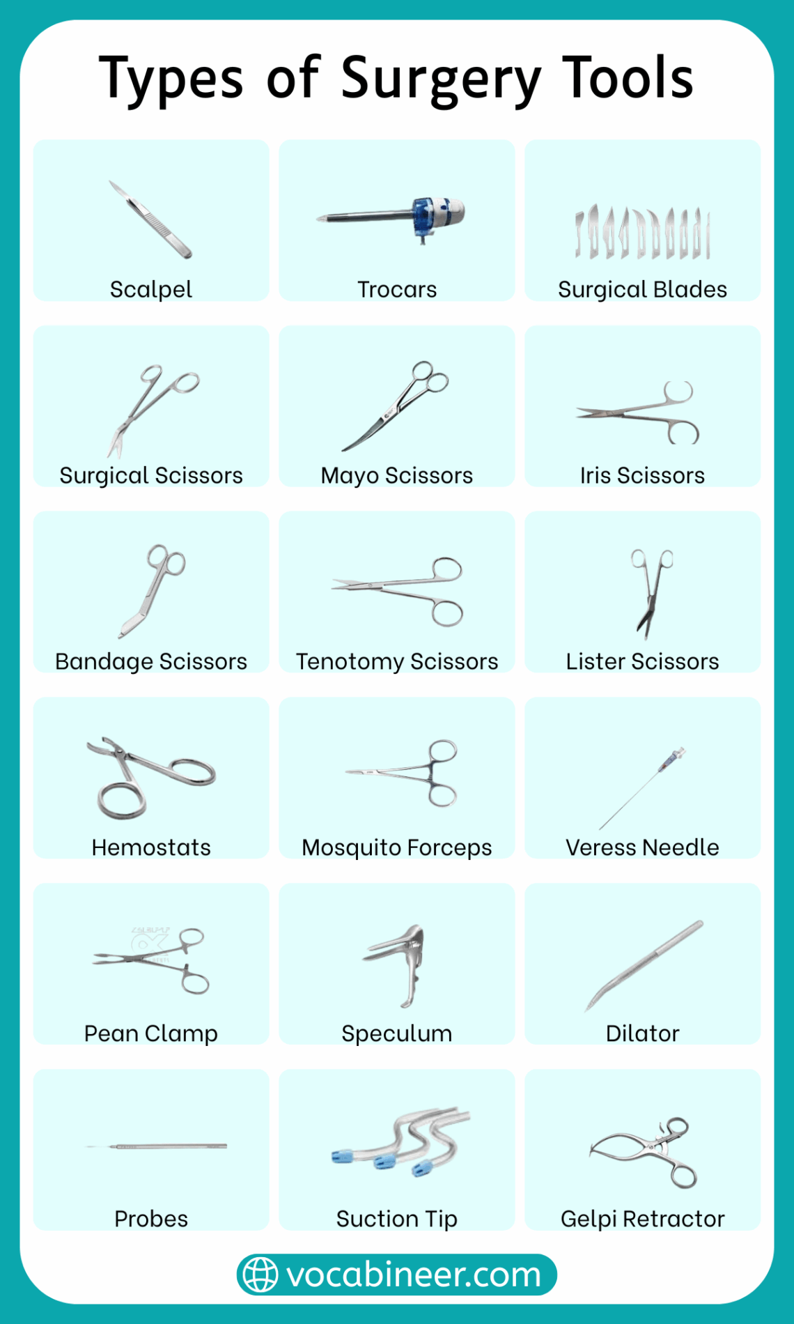 Surgical Tools – Types, Names, and Their Functions with Pictures