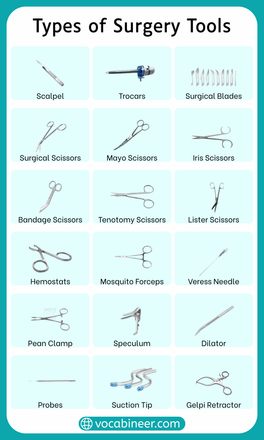 Surgical Tools – Types, Names, and Their Functions with Pictures