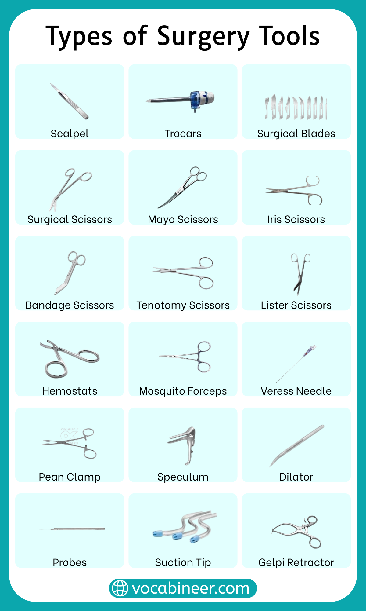Surgical Tools – Types, Names, and Their Functions with Pictures