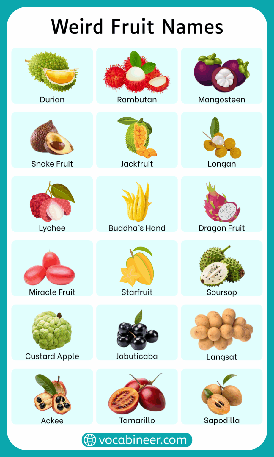 Weird Fruit Names List and their Pictures