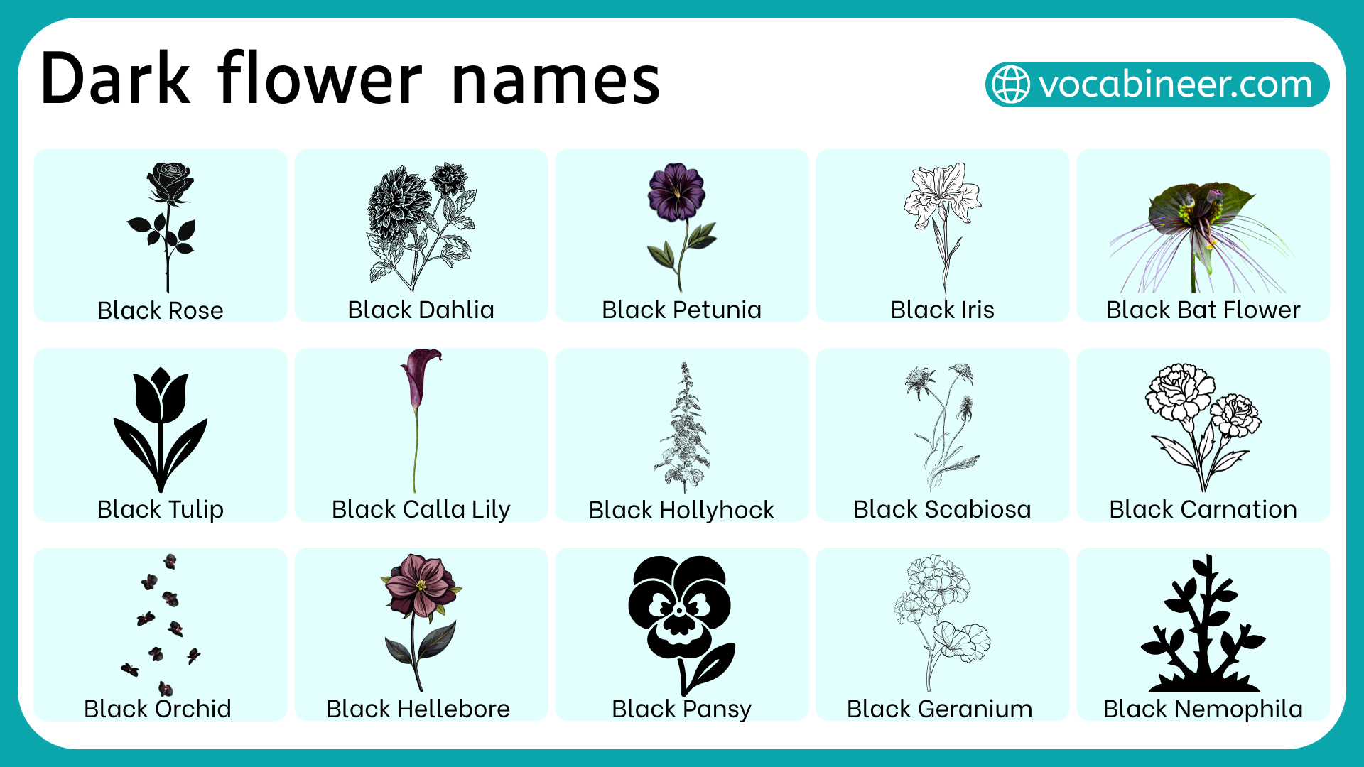 Dark Flower Names and Types with Pictures