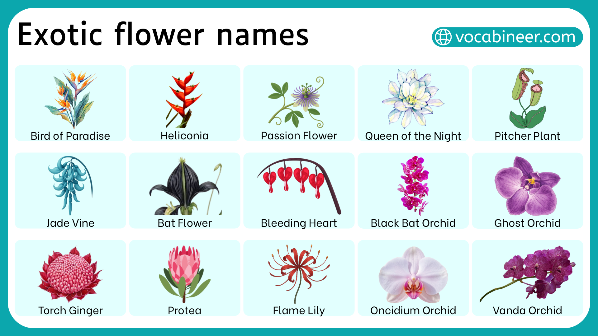 Exotic Flower Names – 40 Rare Flowers with Pictures
