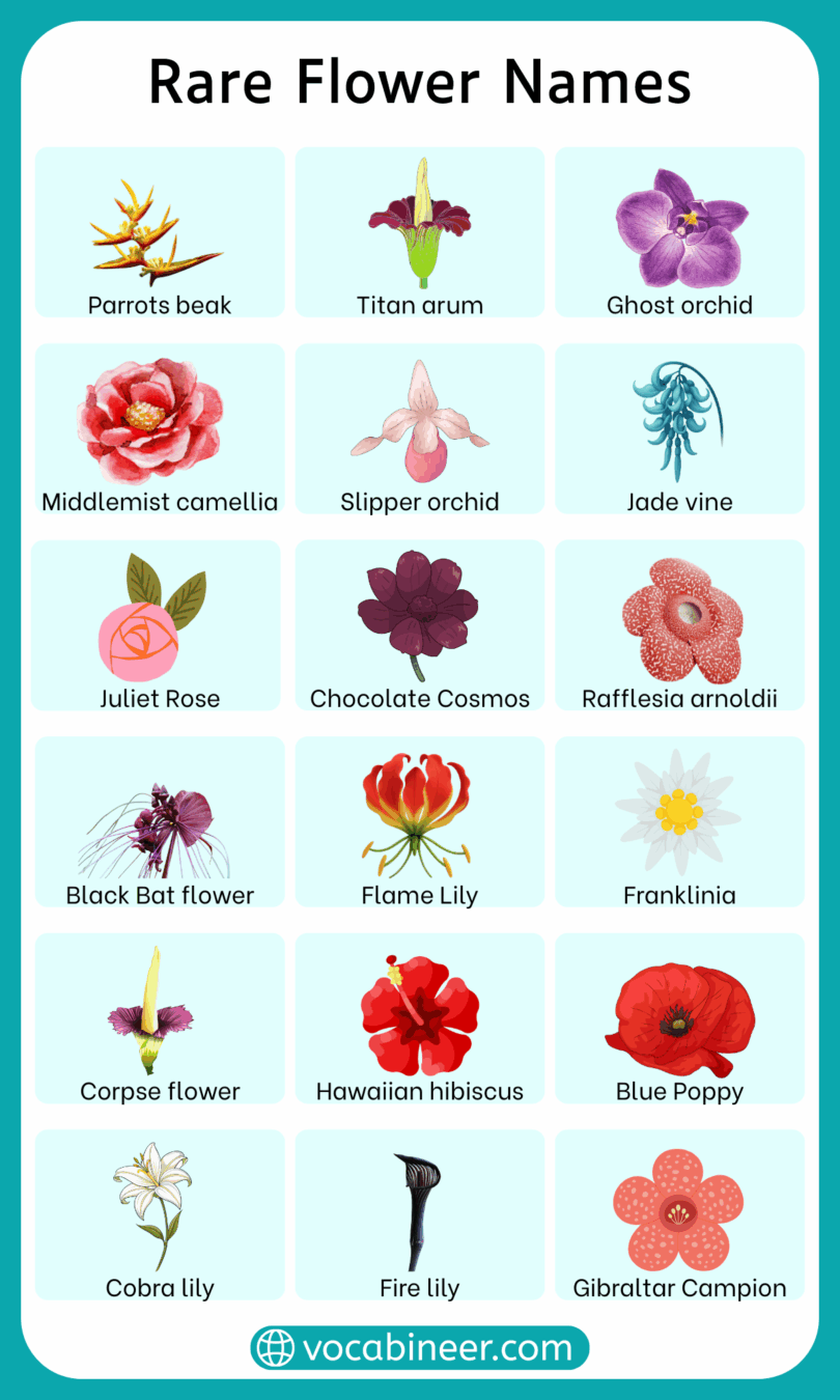 25 Rare Flower Names in English with Pictures
