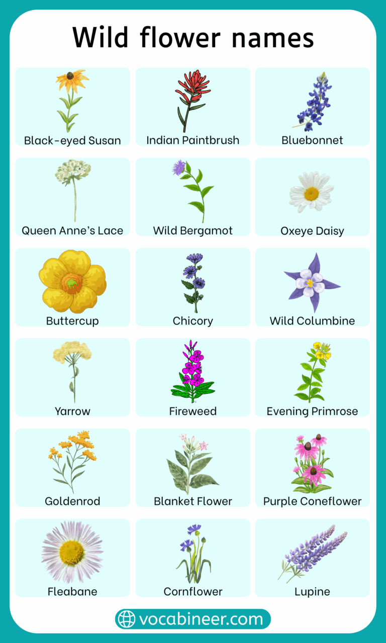 44 Wild Flower Names – Complete Guide with Photos