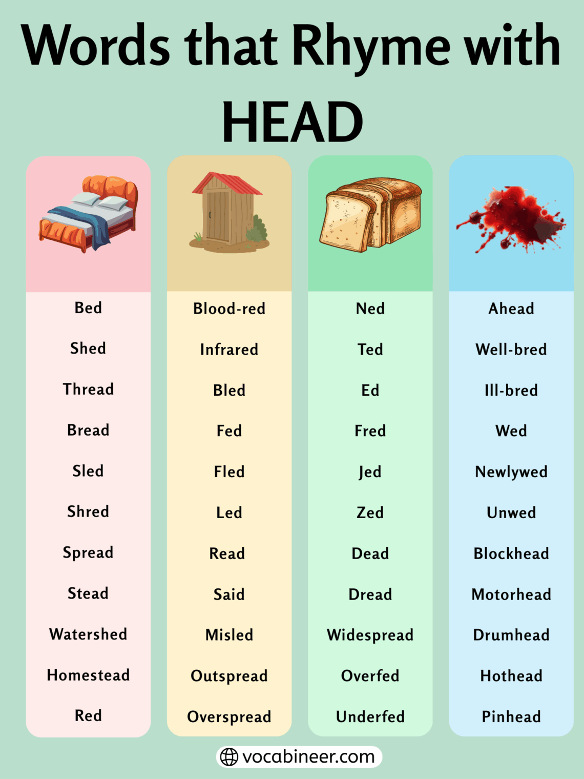 800+ Easy Words that Rhyme with Head for Kindergarten