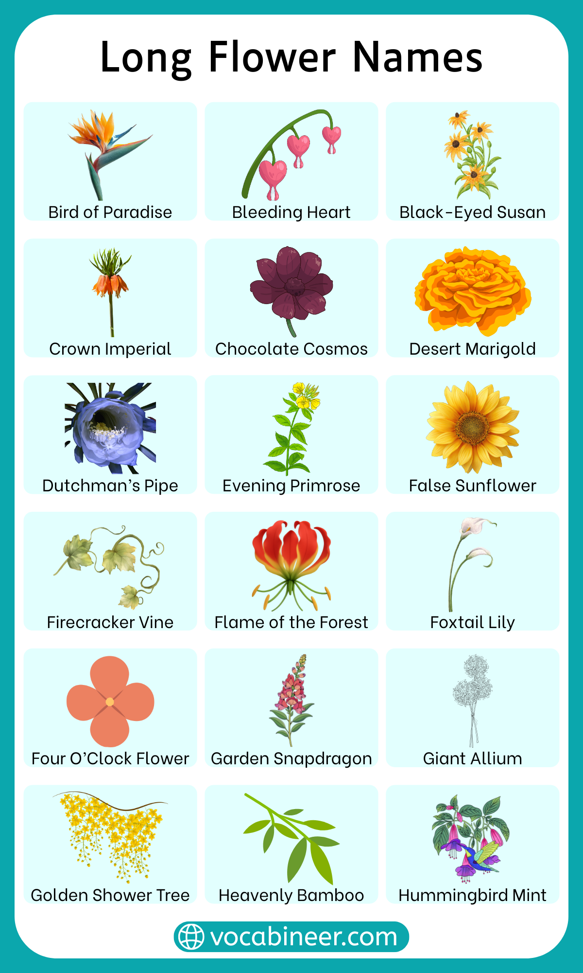 Long Flower Names in English with their Pictures