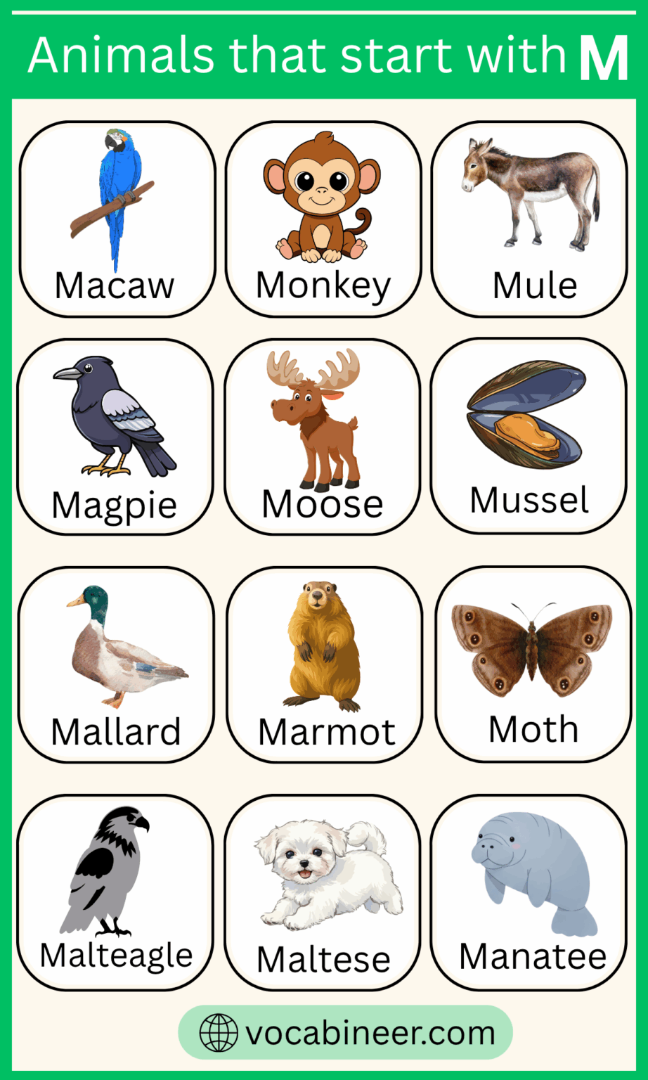 100+ Animals That Start with M with their Pictures