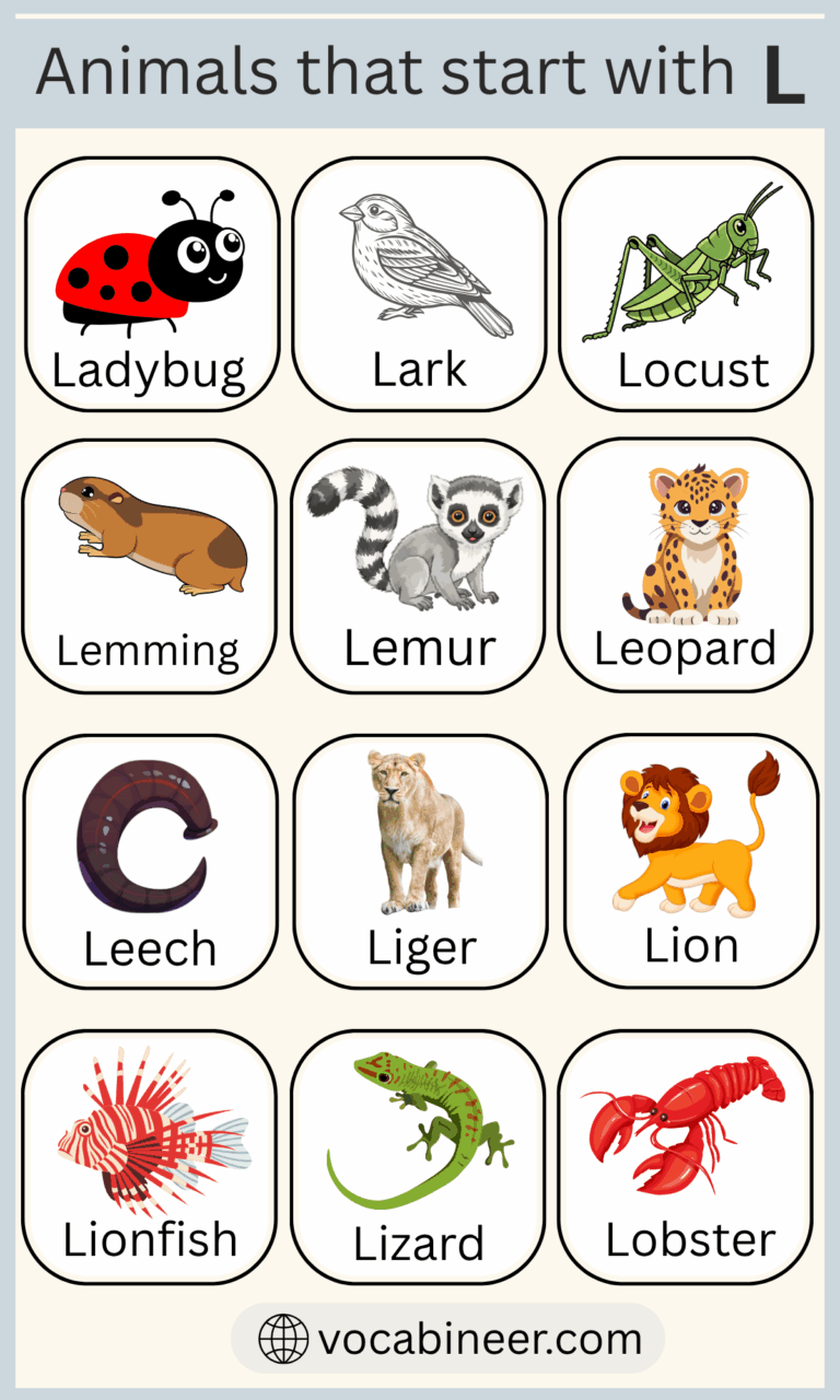 120 Animals That Start with Letter L with Pictures
