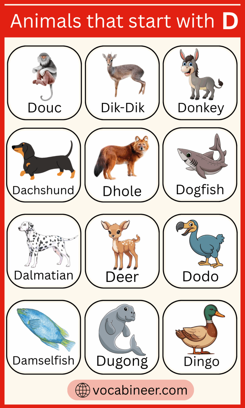 180+ Animals That Start with D with their Pictures