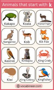 200+ Animals That Start with K in English