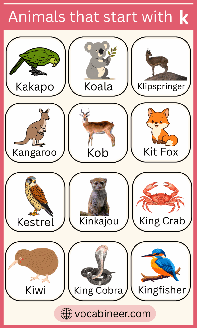 200+ Animals That Start with K in English