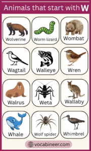 25 Common Animals That Start with W in English