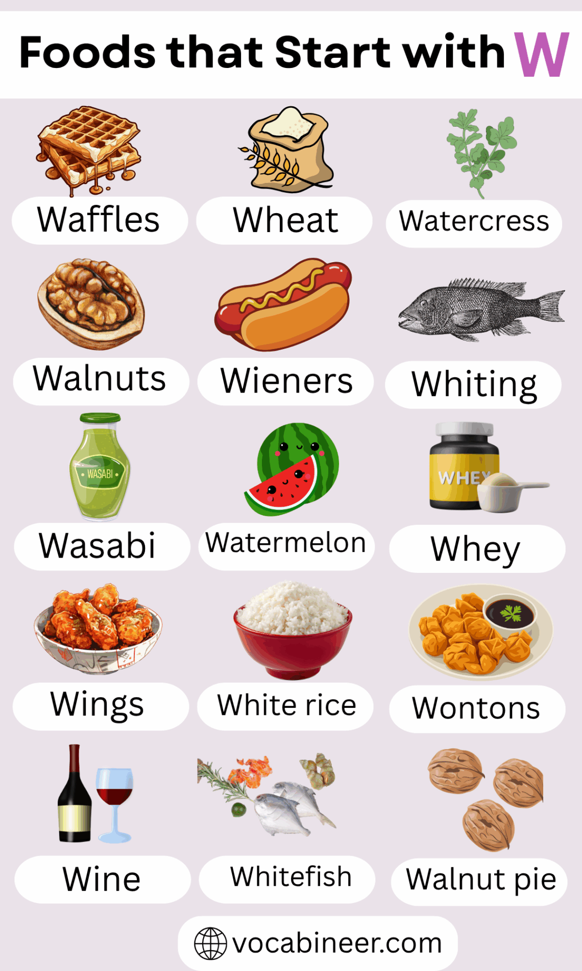 Foods That Start with W | List of 60 W Letter Food in English