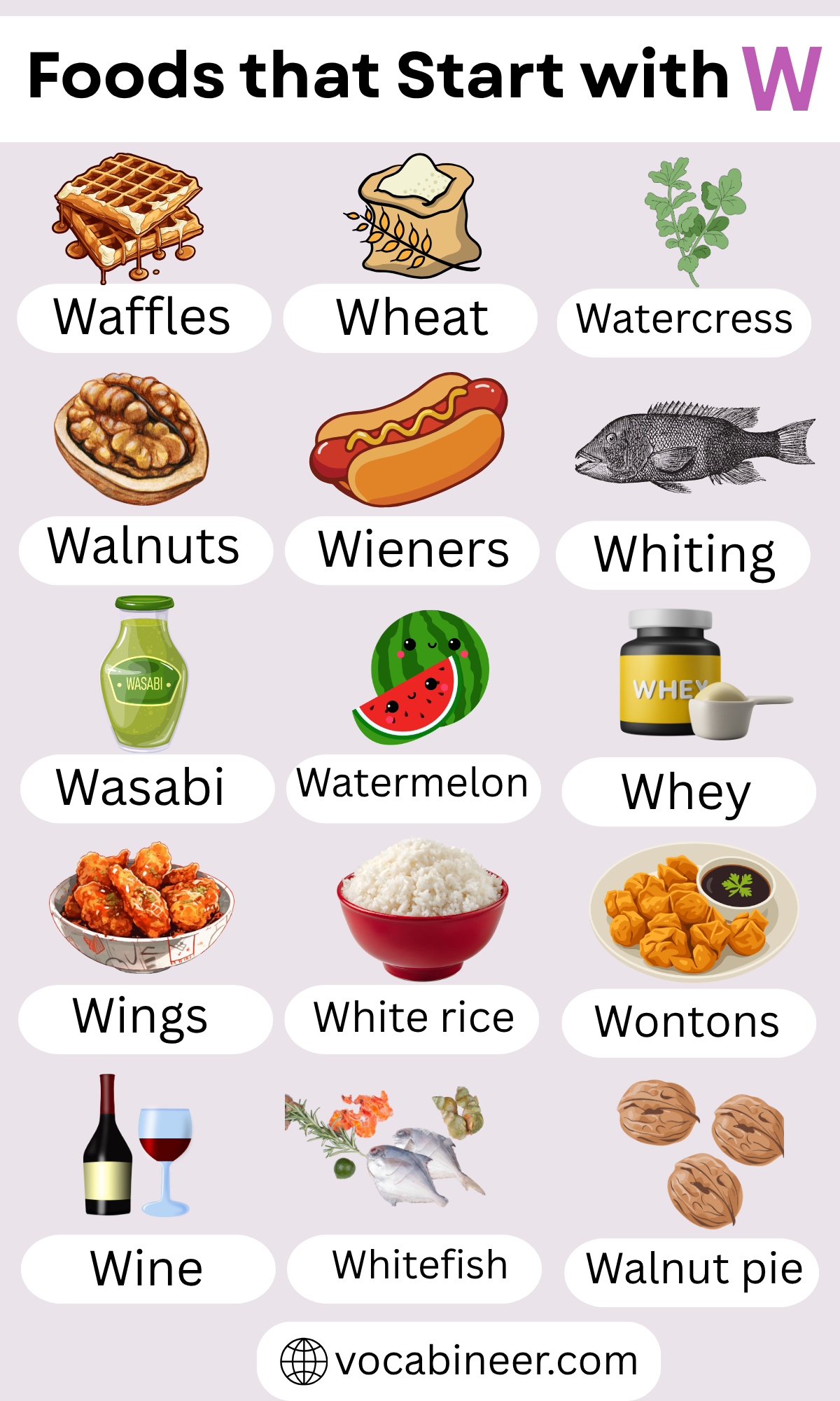 Foods That Start with W | List of 60 W Letter Food in English
