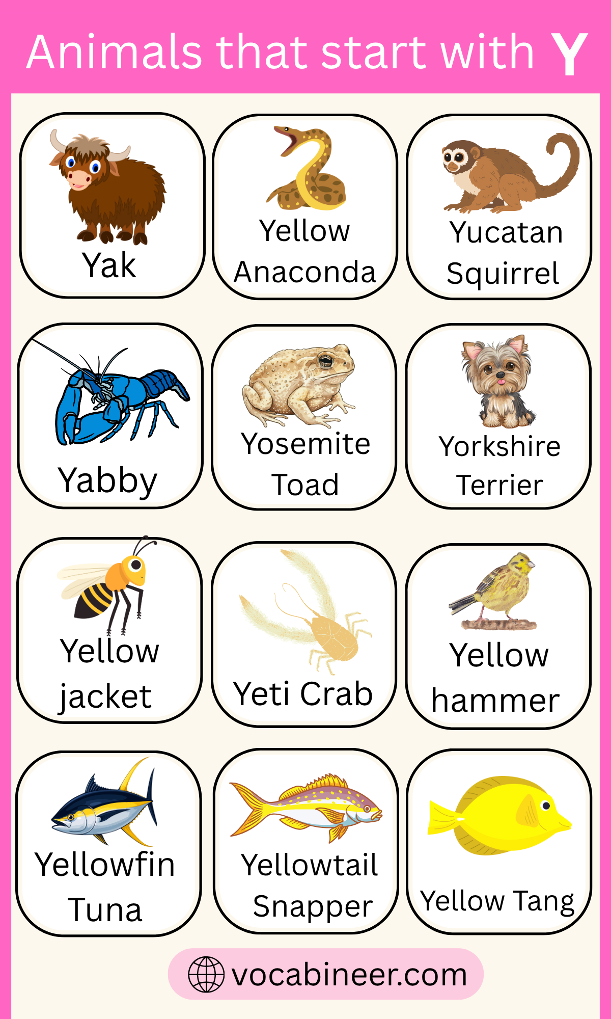 List of 32 Animals That Start with Y in English
