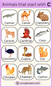 List of Animals That Start with C in English