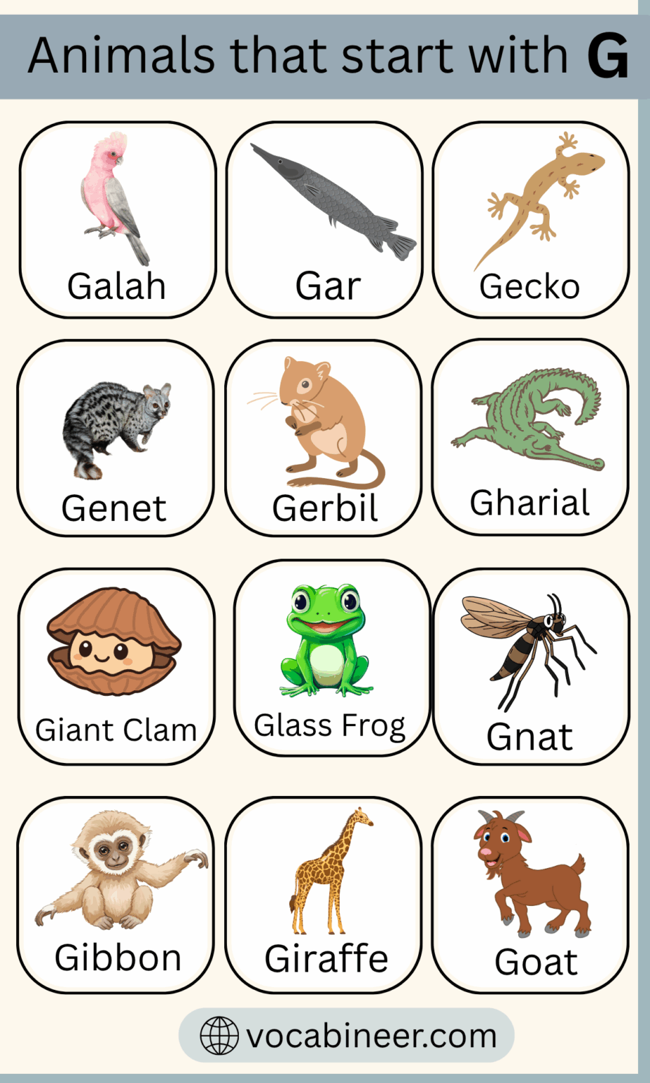 List of Animals That Start with G with Facts