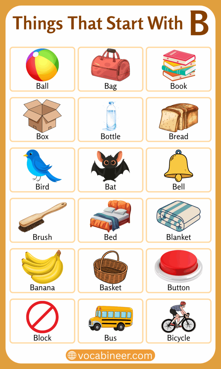 250 Things Starting with B Letter in English