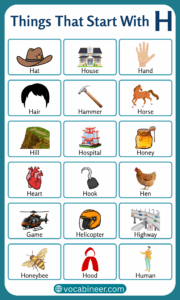233 Things That Start with H in English with Pictures