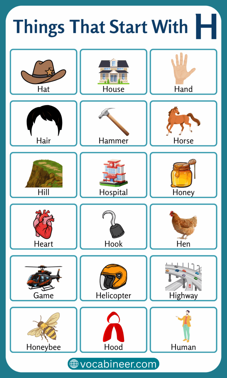 233 Things That Start with H in English with Pictures