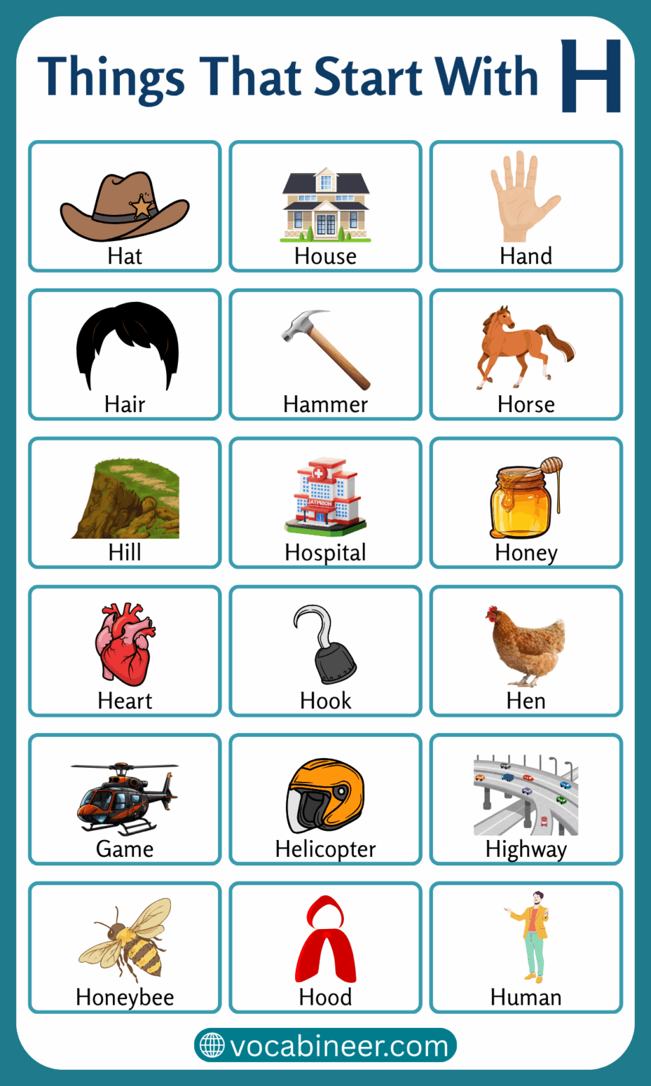 233 Things That Start with H in English with Pictures