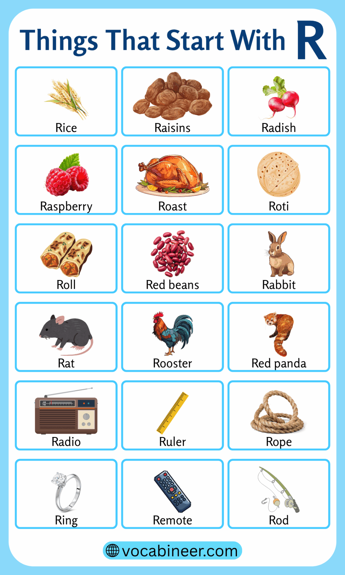 Things That Start with R | 166 R Things Name in English