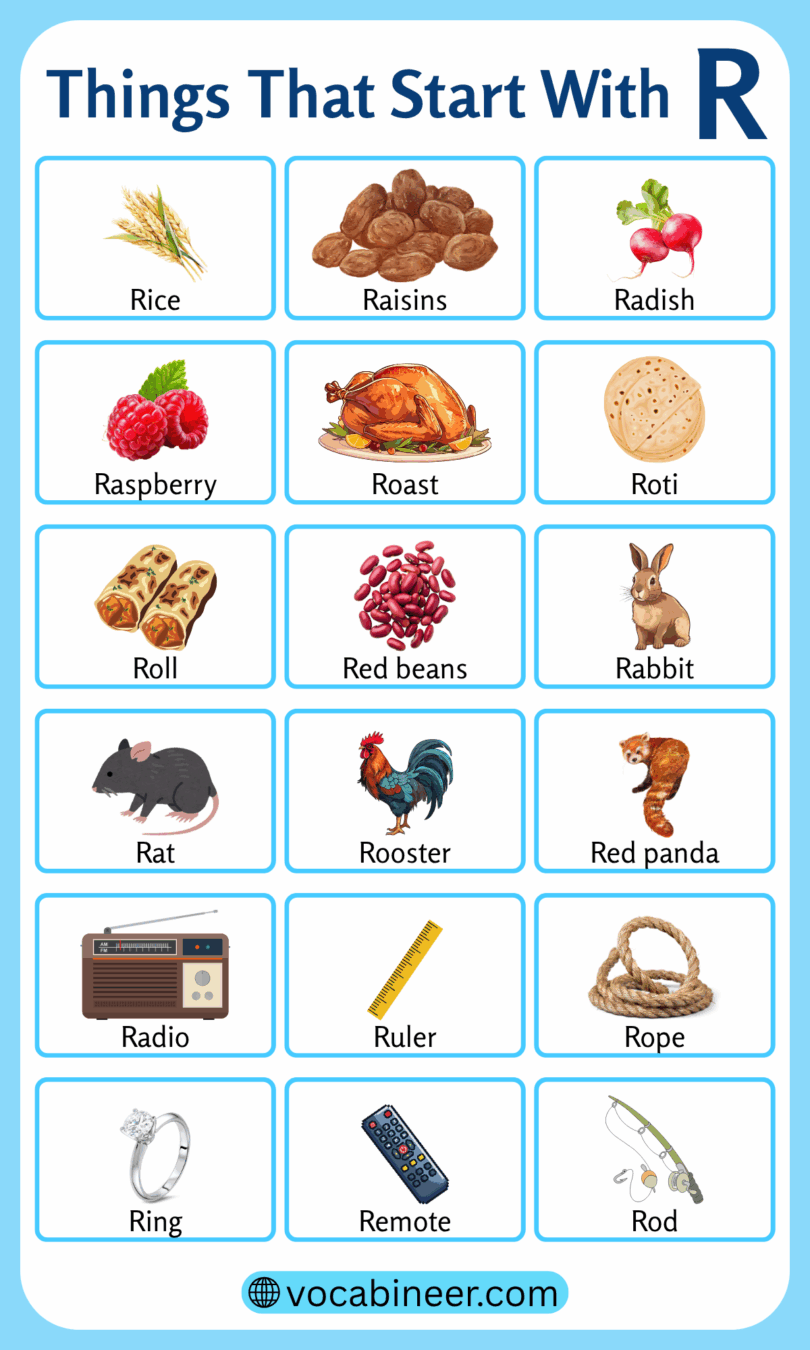 Things That Start with R | 166 R Things Name in English
