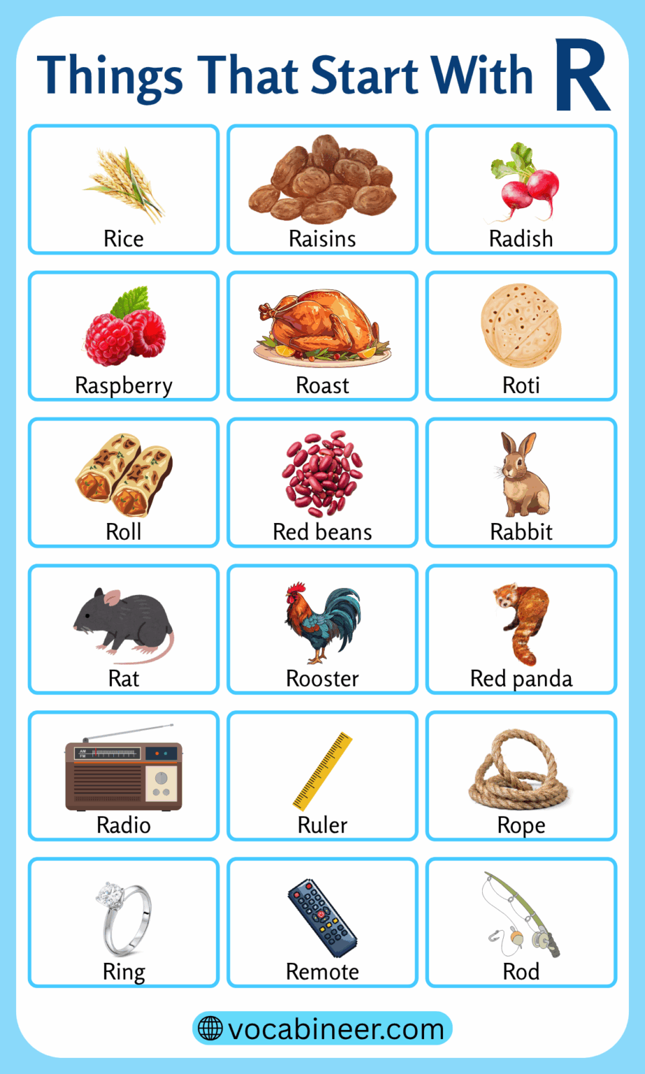 Things That Start with R | 166 R Things Name in English