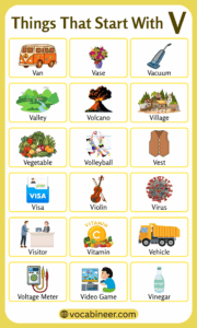 Things That Start with V | 122 Words with Letter V in English