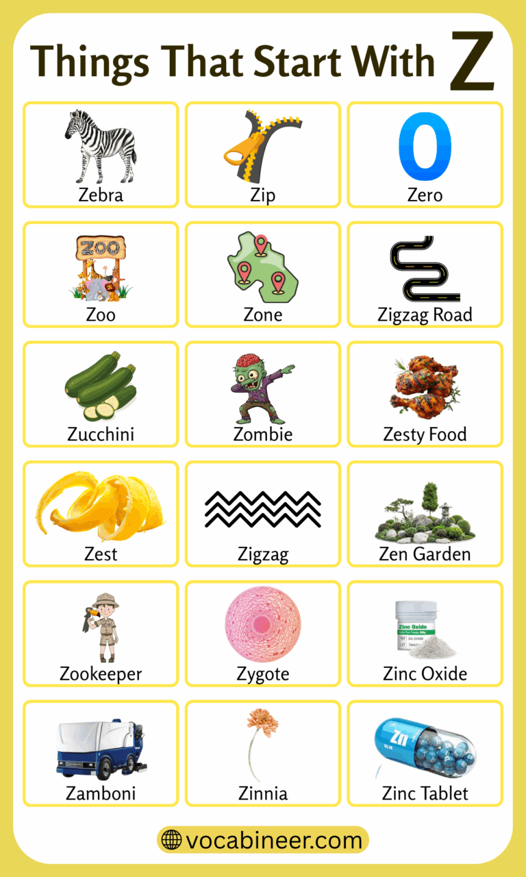 List of 101 Things That Start with Z in English
