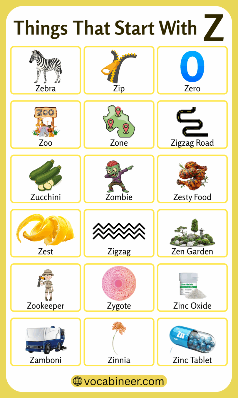 List of 101 Things That Start with Z in English