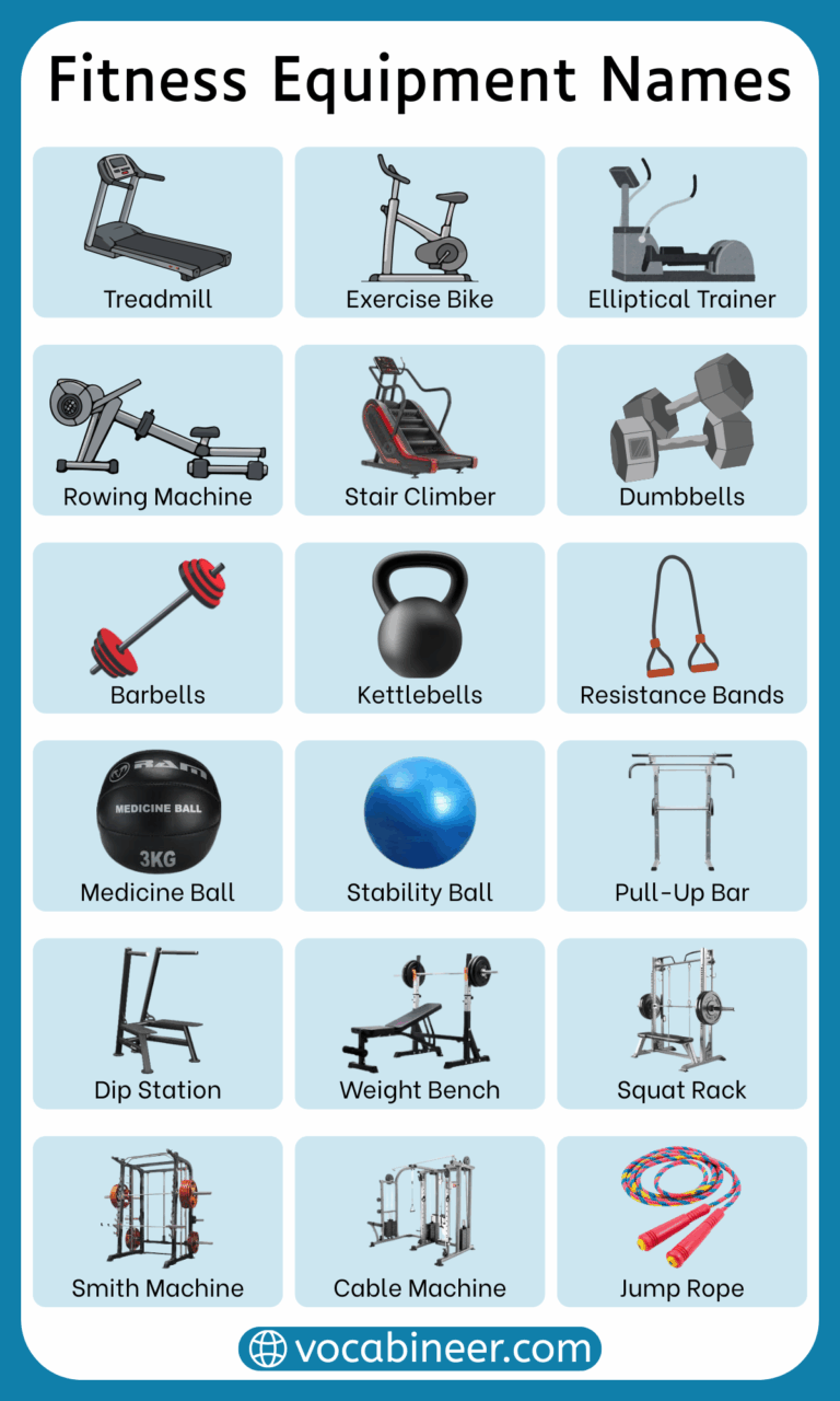 Gym Equipment Names in English with Pictures
