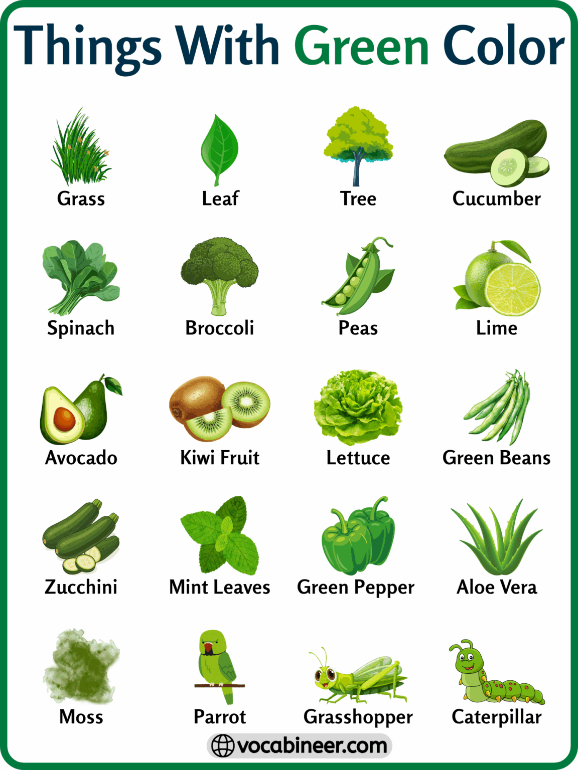 List of 211 Things with Green Color in English with Pictures