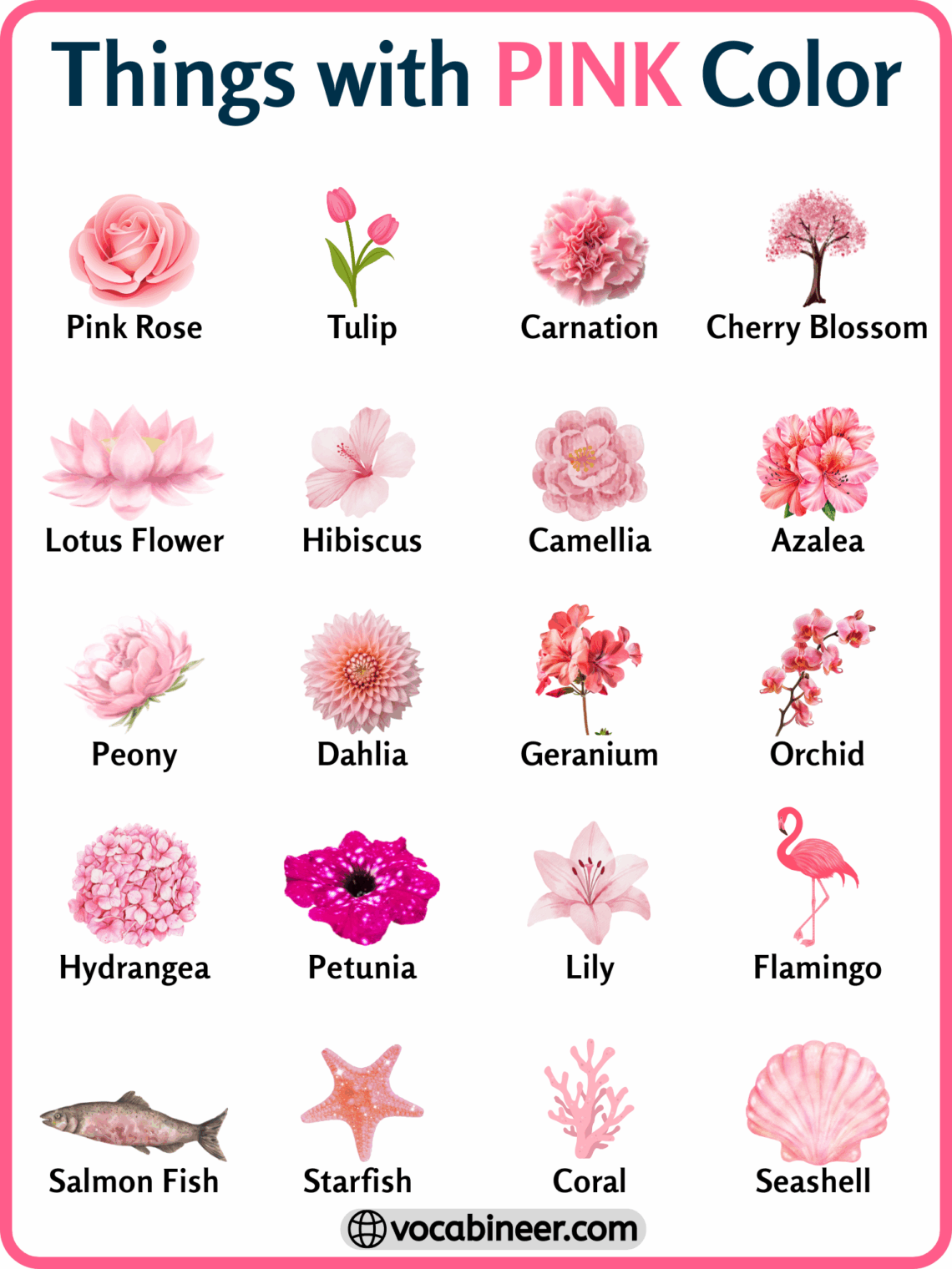 202 Things with Pink Color in English with their Pictures