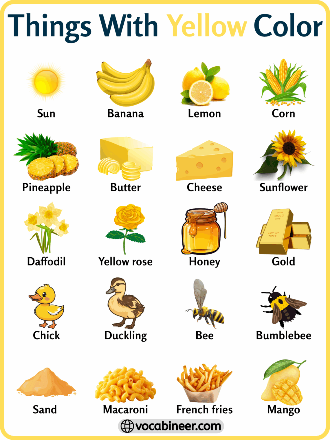 Things with Yellow Color | 188 Words List in English with Pictures