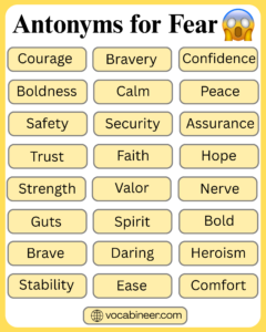 40+ Antonyms for Fear in English With Meanings