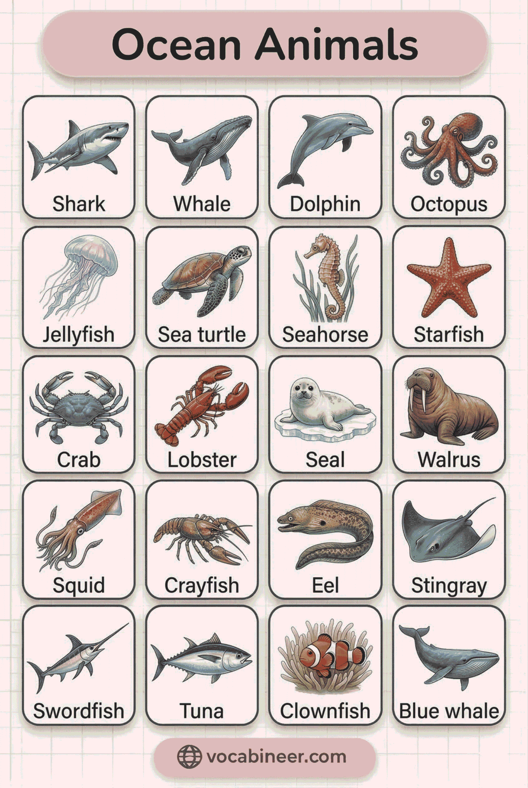 40+ Ocean Animals Names List in English With Pictures