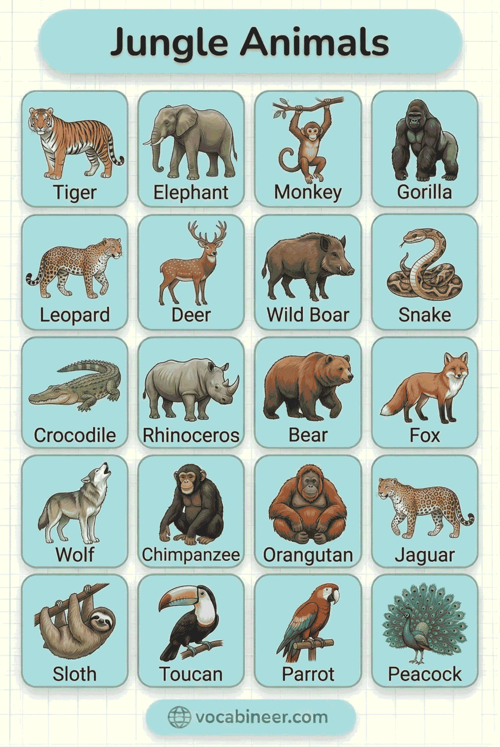 50+ Jungle Animals Names List in English With Pictures