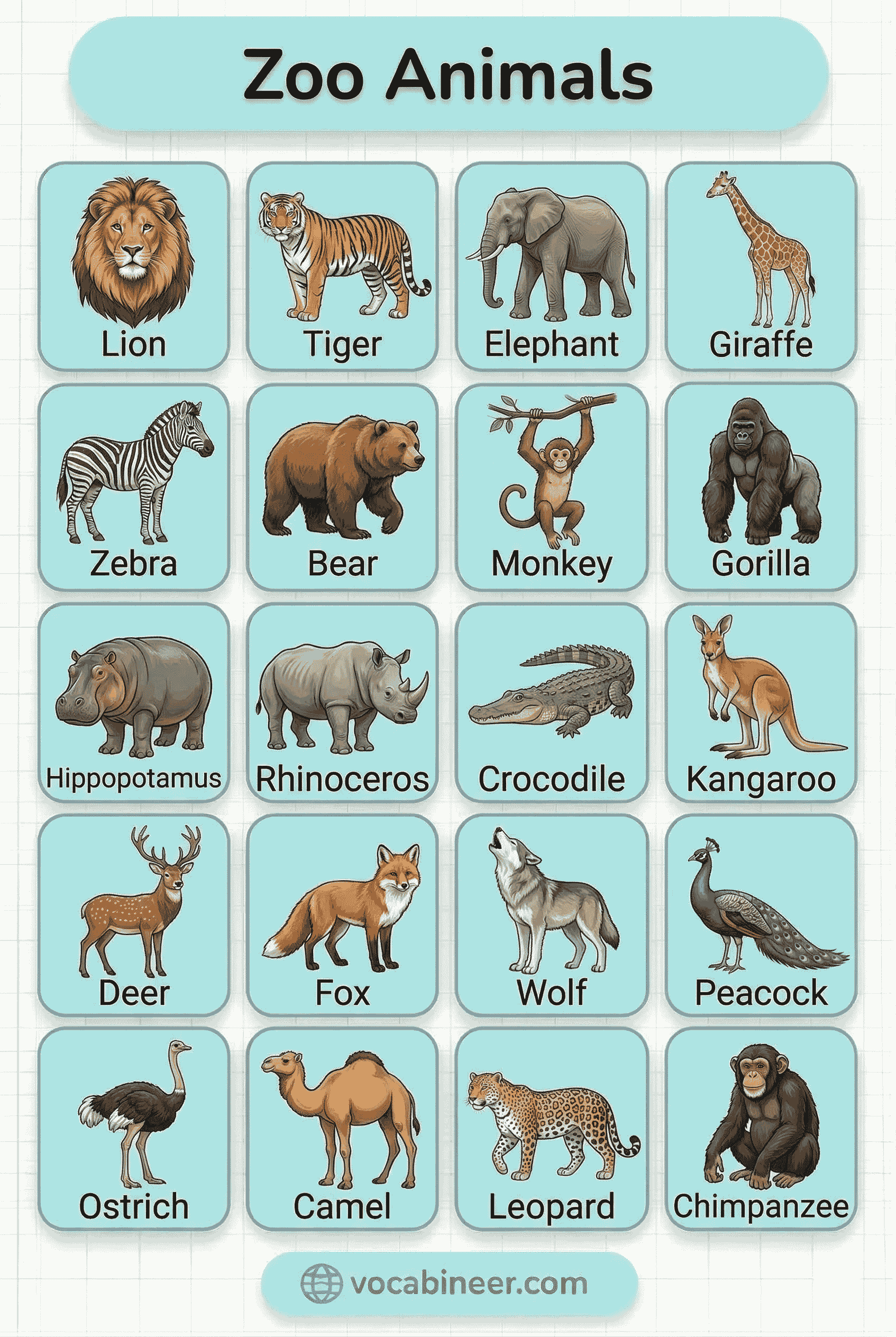 50+ Zoo Animals Names in English With Pictures