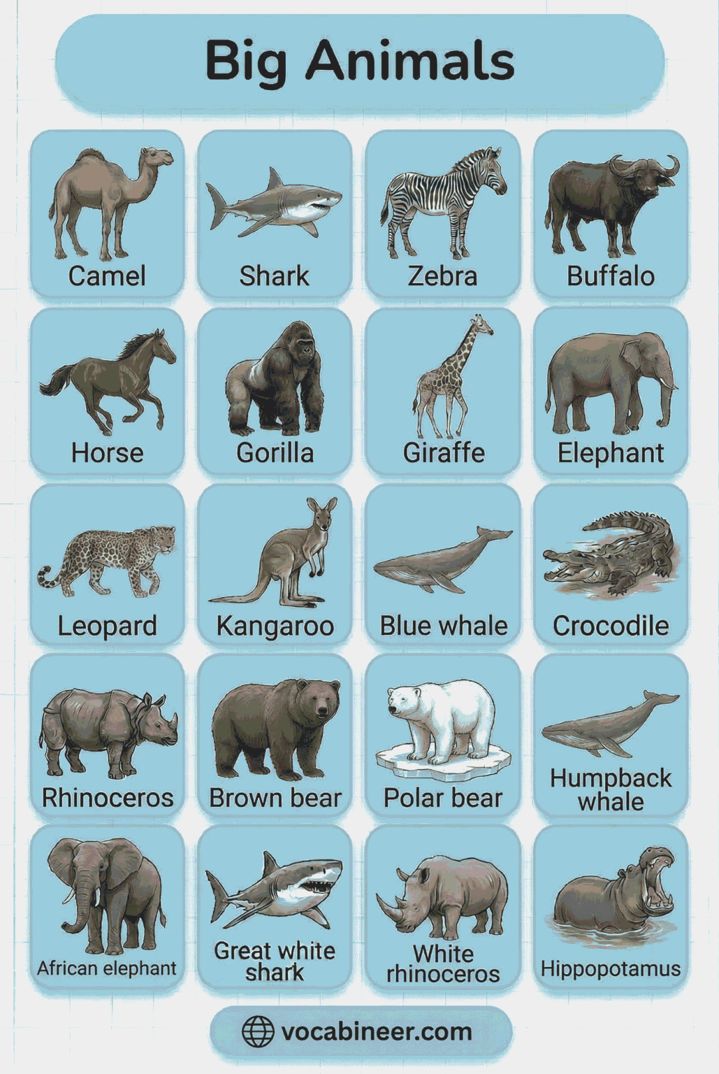 Big Animals Names List in English With Pictures