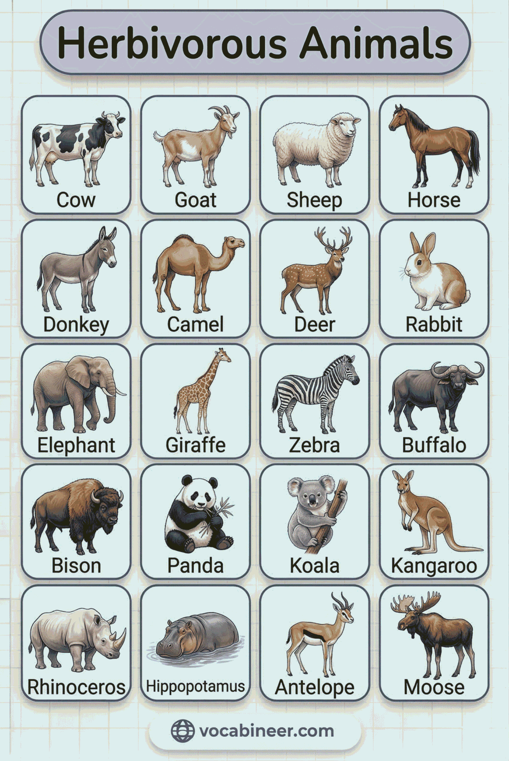 Herbivorous Animals Names in English With Pictures Complete List