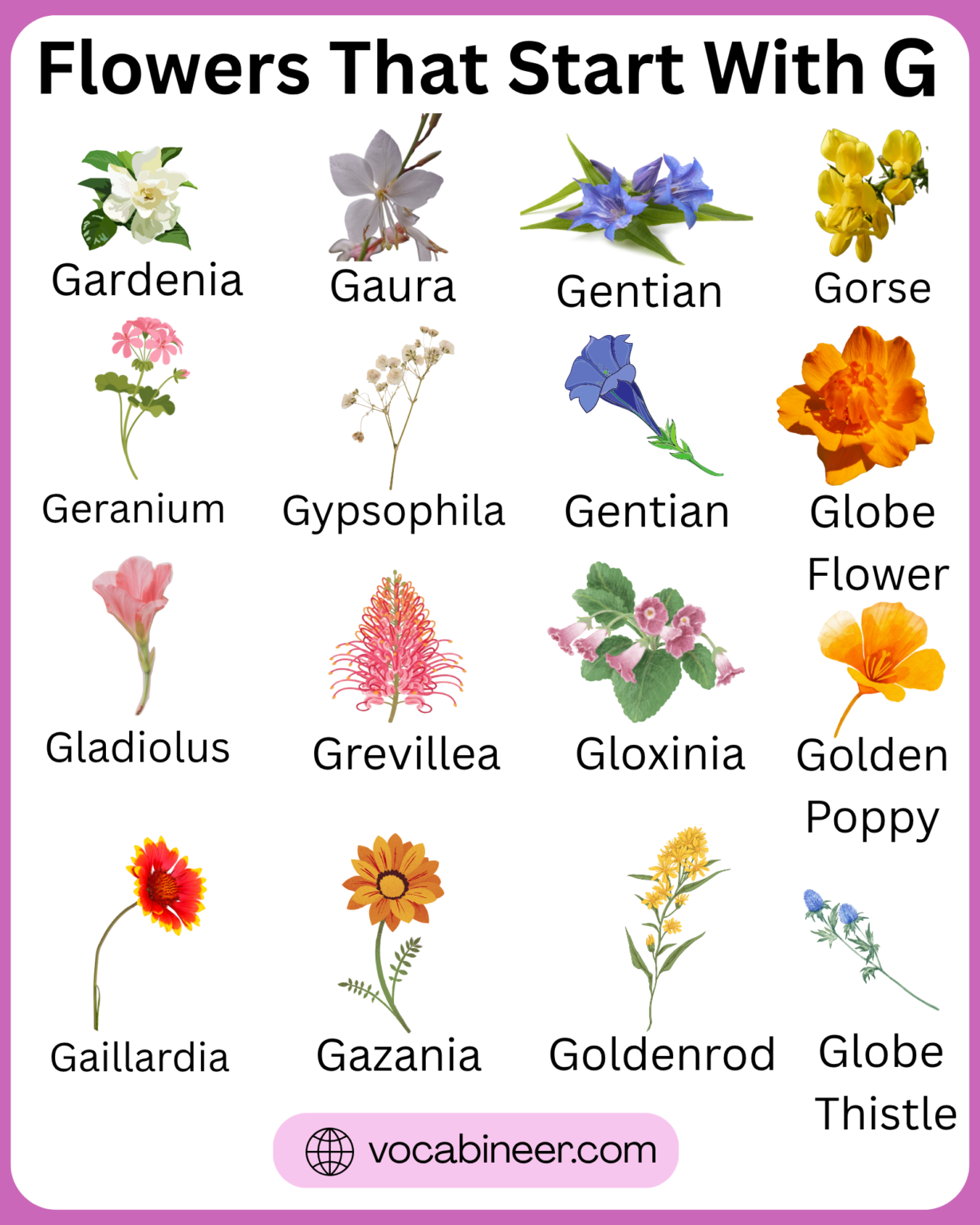 Flowers That Start G
